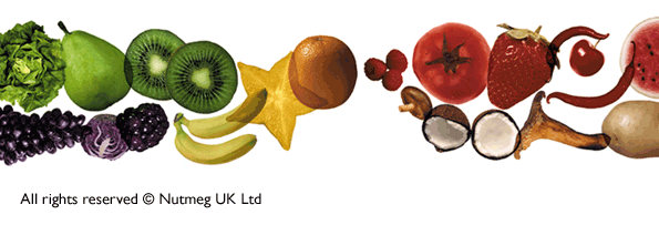 Nutmeg :: Web Menu Planning :: Login